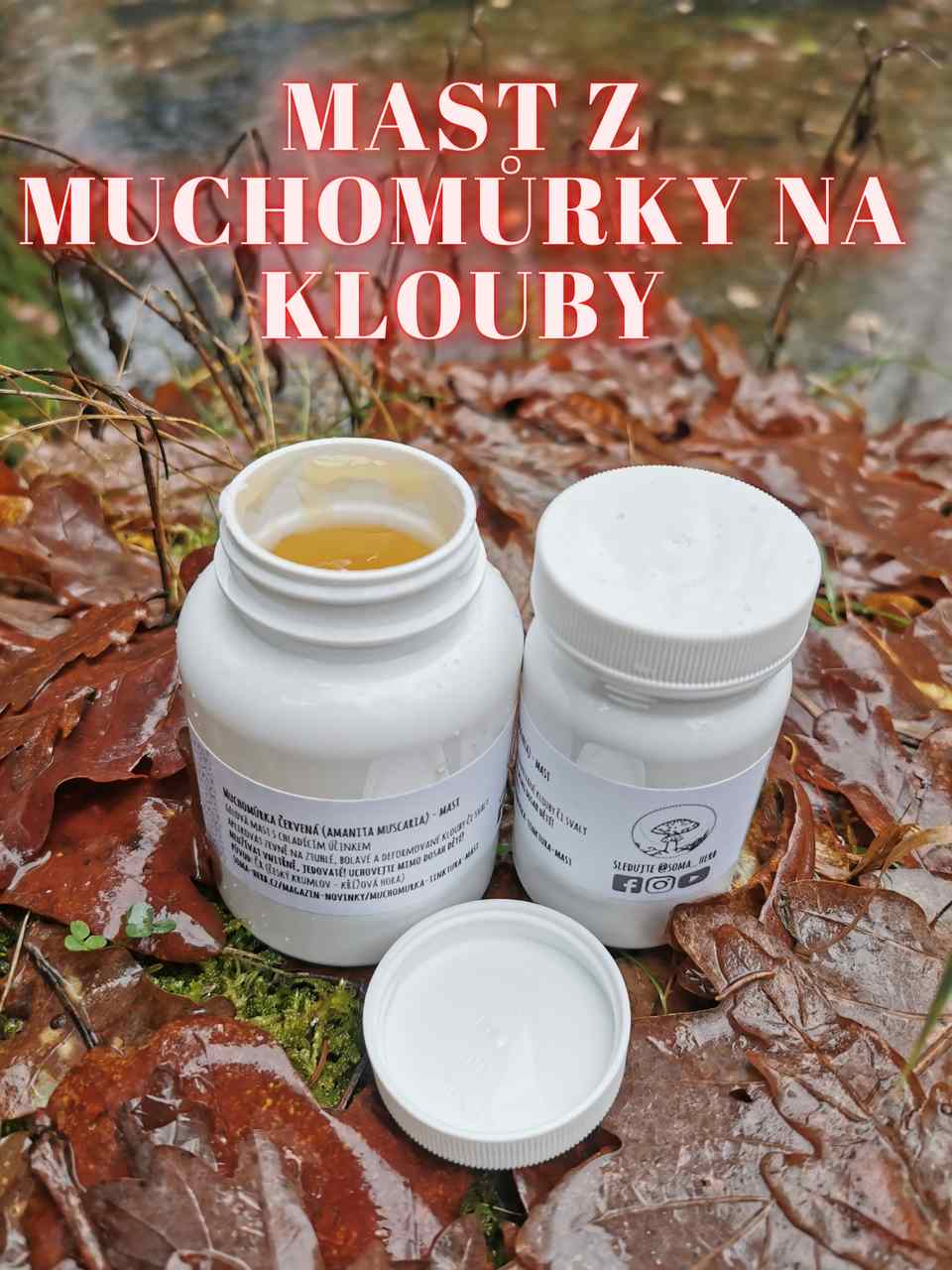 Tinktura a mast z muchomůrky červené na klouby a svaly